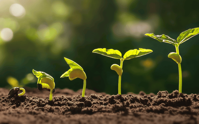 EM-1® Soil Conditioner, Gardening Supplies & Compost Bins – TeraGanix