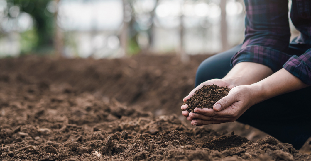 Soil Regeneration - The Four Keys to Restoring Healthy Soil – TeraGanix
