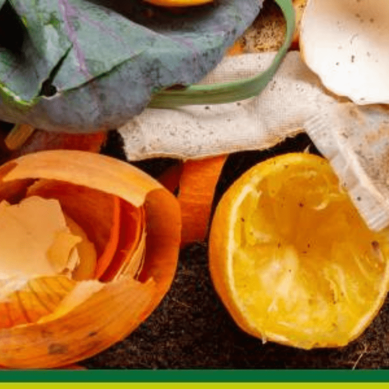 EM-1® Soil Conditioner, Gardening Supplies & Compost Bins – TeraGanix