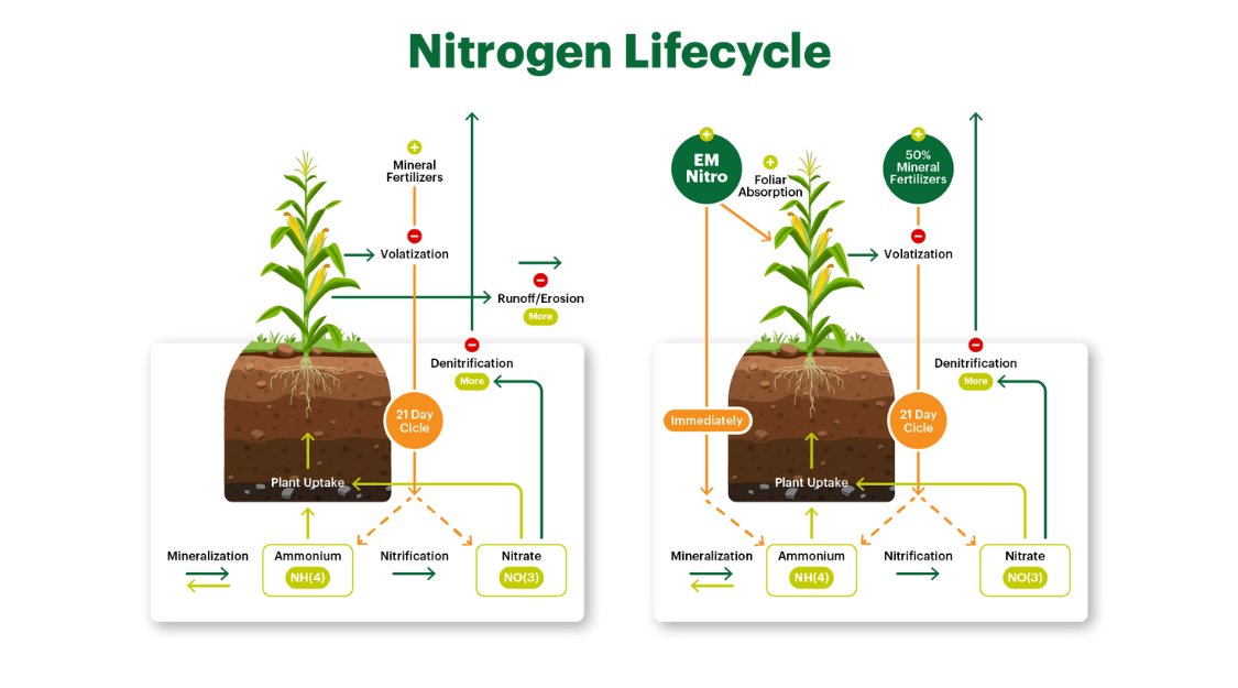 EM Nitro 'Nitrogen Reduction Protocol' Trial – TeraGanix