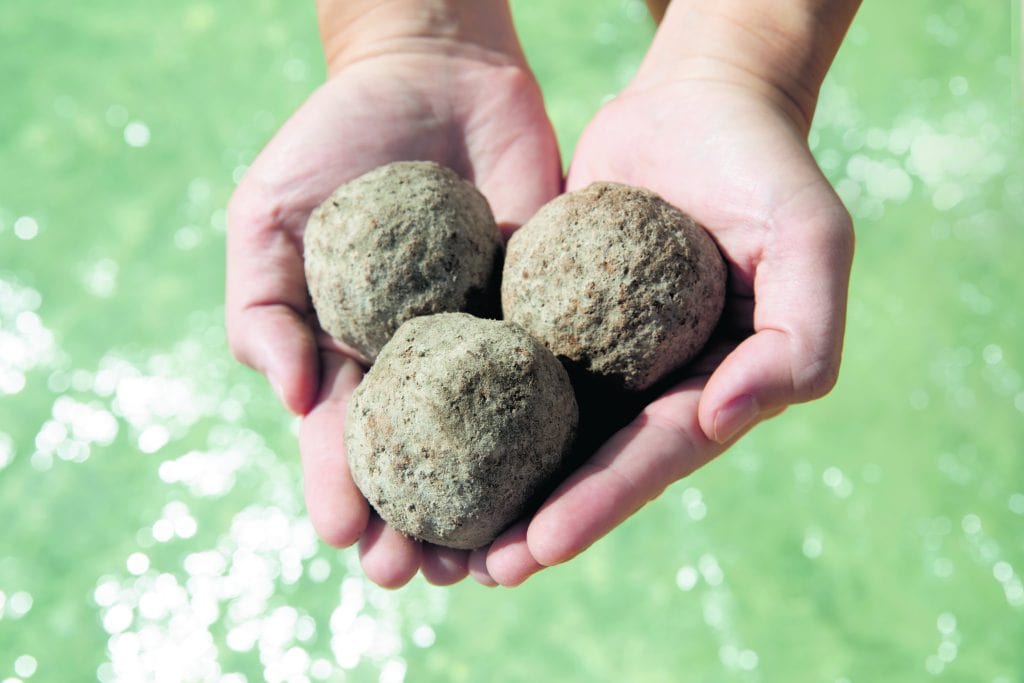 Genki Balls EM Mud Balls – TeraGanix