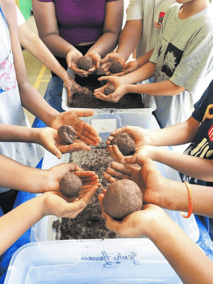 Genki Balls EM Mud Balls – TeraGanix