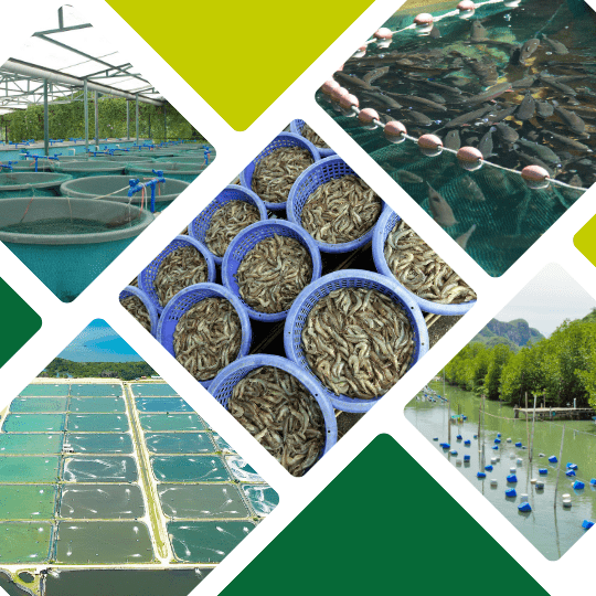 Shrimp & Fish Case Study – TeraGanix