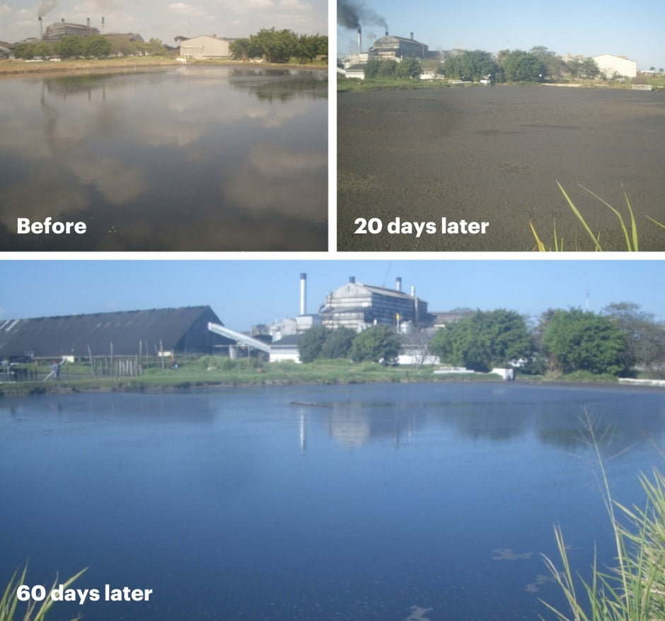 EM1 Soil Conditioner - Improve Garden Health & Fertility | TeraGanix